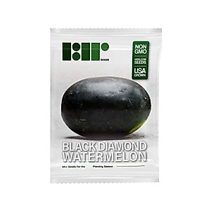 50 Black Diamond Watermelon Seeds for Planting - Heirloom Non-GMO Fruit Seeds for Planting - Grows Big Giant Watermelons Averaging 30-50 lbs