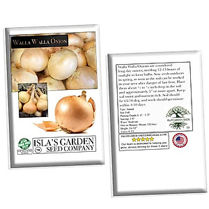 Walla Walla Sweet Spanish Onion Seeds for Planting, 300+ Seeds Per Packet, (Isla's Garden Seeds), Non GMO Seeds, Botanical Name: Allium cepa, Great Home Garden Gift