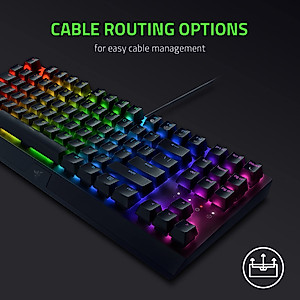 Razer BlackWidow V3 Tenkeyless TKL Mechanical Gaming Keyboard: Green Mechanical Switches - Tactile & Clicky - Chroma RGB Lighting - Compact Form Factor - Programmable Macros