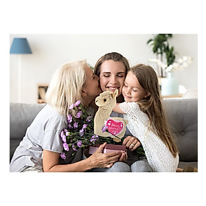 DolliBu Happy Mother's Day Super Soft Plush Beige Llama Figure - Cute Stuffed Animal with Pink Heart Message for Best Mommy, Grandma, Wife, Daughter - 11 Inch