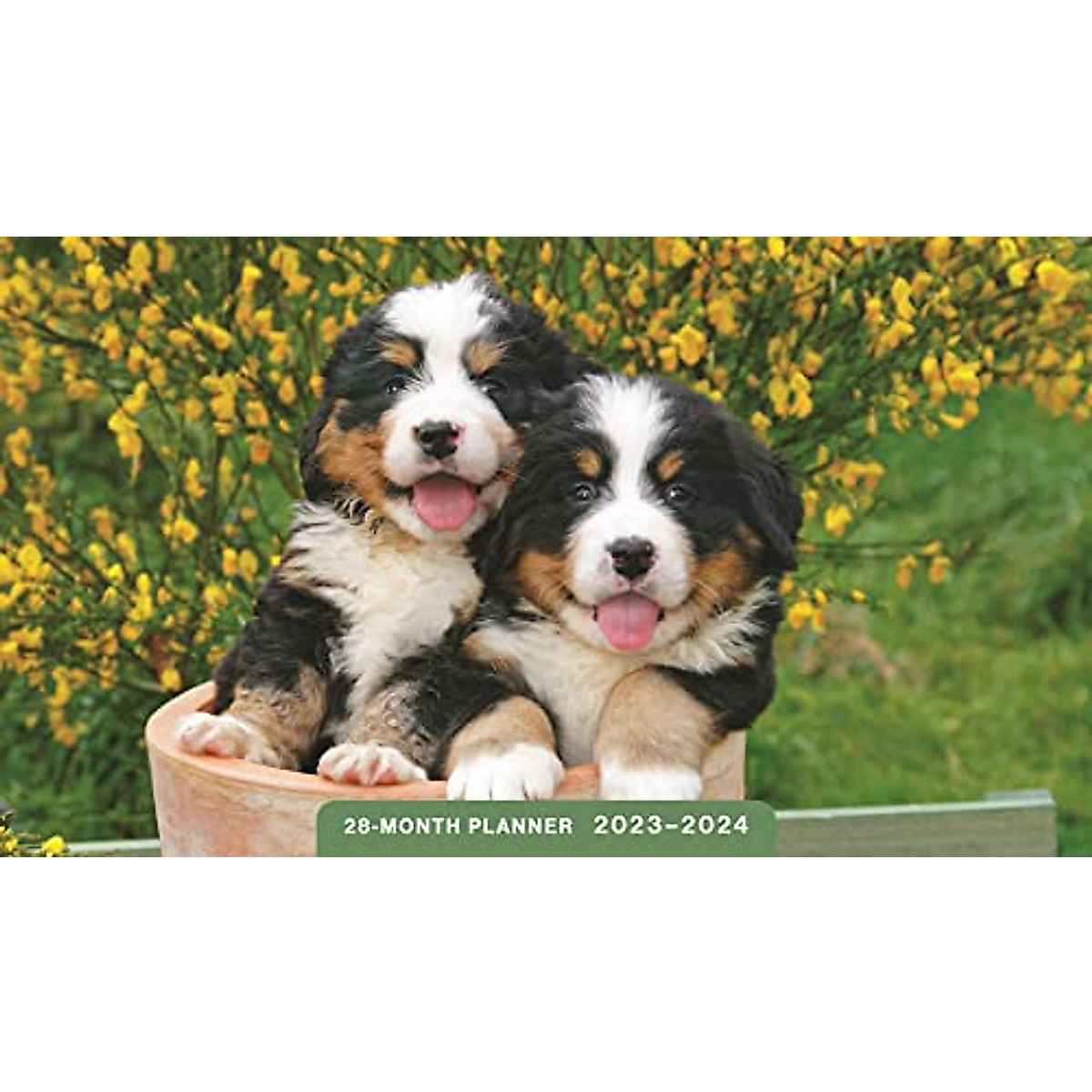 Puppies 2023 – 2024 28 Month Planner: 2 Year Pocket Calendar