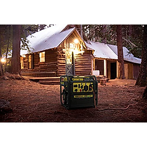 Champion Power Equipment 200914 4250-Watt Open Frame Inverter Generator, Dual Fuel Technology
