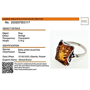 HolidayGiftShops Sterling Silver and Baltic Honey Amber Rectangle Adult Ring Makell- Size 10