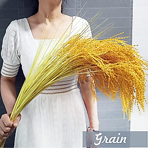 Mousidr Fake Grain Plant Artificial Paddy Rice Flowers Yellow Natural Plants for Home Office Hall Shop Window Garden Decoration (12 Packs 23.6inches)