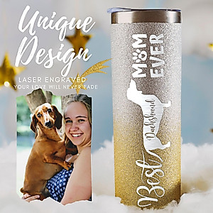 Onebttl Dachshund Gifts, Best Dachshund Mom Ever, Christmas Gifts for Wiener Dog Lovers, Women, Girls, Friends, Daughters, Coworkers, Stainless Steel Glittering Tumbler 20Oz