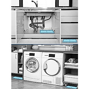 Heavy-Duty Rat Mouse Snake & Insect Glue Trap by Catchmaster - 6 Pre-Baited Trays with Hercules Putty Fastener, Ready to Use Indoors. Floor Anchor Sticky Adhesive Non-Toxic - Made in The USA