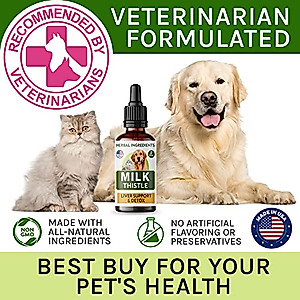 Milk Thistle for Dogs and Cats - Liver Support Supplement - Canine Hepatic Care - Cat & Dog Liver Cleanse - Liquid Milk Thistle Drops for Pets - Liver Protection & Defence - Made in USA - 2 fl oz