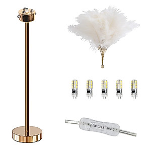 Ruconla Ostrich Feather Table Lamp with Plug in Wire, Modern Feather Lamp 5-Light Bedside Table Lamp, Golden Lamp Body for Bedroom Nightstand Lamp Desk Night Light (White)