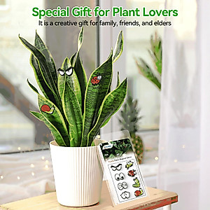 Cslehel Plant Magnets Eyes for Potted Plants ，8 PCS Cute Magnetic Plant Eyes with Cartoon Eyes, Funny Plants Pins for Indoor Outdoor Office Plants Accessories, Plants Lover Gifts,