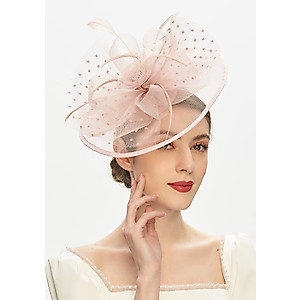 Fascinators Hats for Womens 50s Headwear with Veil Flower Cocktail Wedding Tea Party Church Derby Hat(3-blush pink)