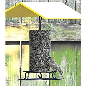JCs Wildlife Finch Favorite Premium Bird Seed Small Cylinder (1 Cylinder)