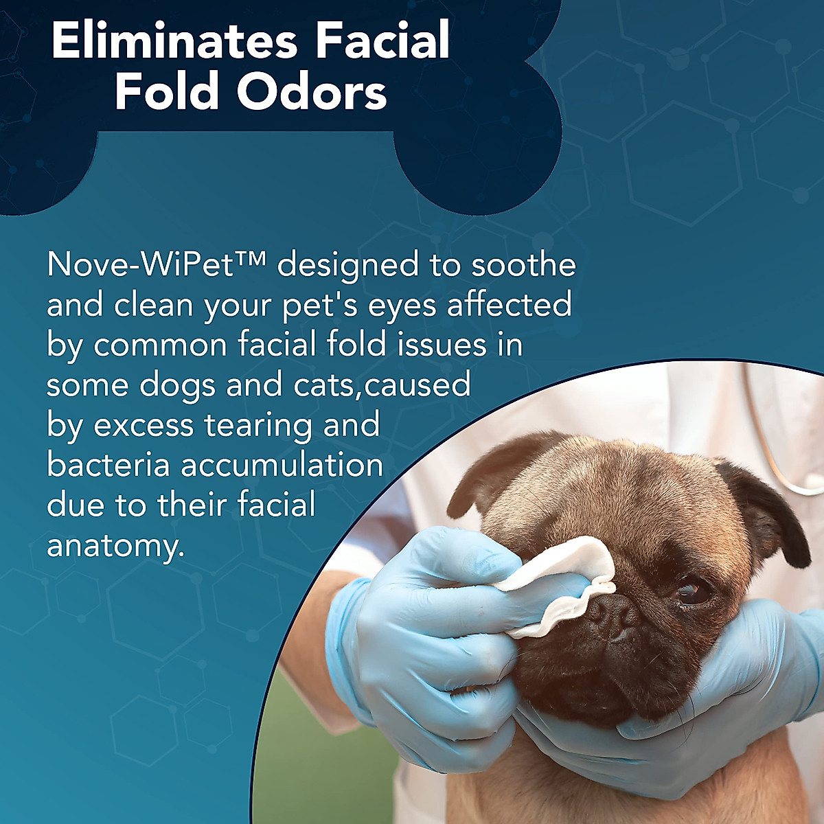 NOVEHA Pet Drops | Advanced Lanosterol Solution (60 Counts)