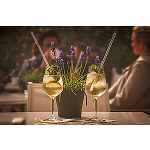 S & L Straw Company - Colored Plastic Drinking Straws - Disposable Kid Friendly, Colorful Party Fun Straws (Clear, 250)