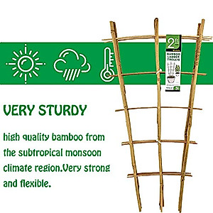 Natural Bamboo Trellis 24 Inches Tall, Mininfa Garden Ladder Trellis, Plant Trellis for Climbing Plants, Vegetables, Pots - 3 Pack
