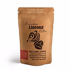 Wild Kopi Luwak, the World’s Most Exclusive Coffee, Sustainably Sourced From Sumatra, Indonesia (100gr / 3.5oz)