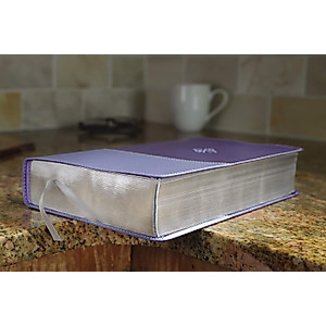 The Amplified Study Bible, Leathersoft, Purple