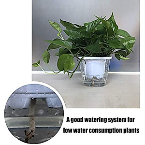 Xsheng Direct Natural Cotton Rope 1/4 Inch Craft Rope 65 Feet Long Clothesline All Purpose Rope for DIY Rope Basket/Mat as Candle Replacement Wick Self Watering Rope for Potted Plants