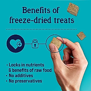 Stewart Freeze Dried Dog Treats, Beef Liver, Grain Free & Gluten Free, 4 Ounce Resealable Tub, Single Ingredient, Made in USA, Dog Training Treats