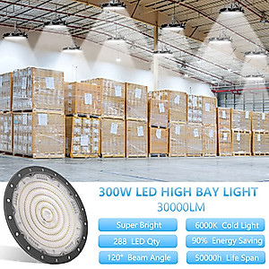 Royana 10 Pack 300W LED High Bay Light, 110V LED Shop Lights, 6000K 30000LM UFO Warehouse Light, with 4ft Cable US Plug, Hook Mount, Garage, Factory, Warehouse, Workshop, Area Light
