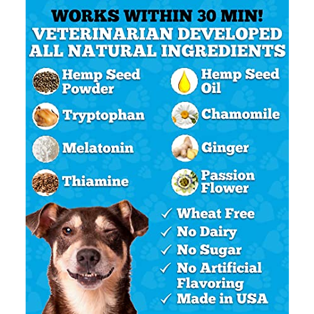 Well Loved Calming Chews for Dogs - Dog Calming Treats, Made in USA, Vet Developed, Dog Anxiety Relief, Separation, Fireworks, Travel & Stress Support, Melatonin, Natural & Holistic, 90 Calming Treats