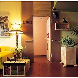 Tsunetani-S11 LED Bulb Filament 4W Equivalent to 40 Watt Incandescent Appliance Bulb- E17 Intermediate Base Mini Globe Light Bulbs 2700K Warm White for Cabinet, Closet, Exit Sign Light Bulb - 2Pack