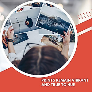 Laser Tek Services Compatible High Yield Ink Cartridge Replacement for Epson 312XL T312XL120 Works with Epson Expression Photo XP-8500, HD XP-15000 Printers (Black, 4 Pack) - 500 Pages