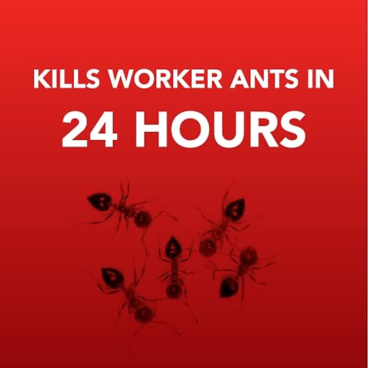 Ortho Home Defense 4PK Metal Outdoor/Indoor Bait Stations