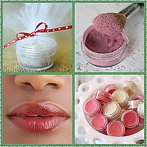 (50 Pieces, Black Lid) 5gram/5ml Round Clear Container Jars with Black Screw Cap Lids for Lip Balms, Makeup Samples Makeup Eye Shadow Nails Powder Jewelry - BPA Free