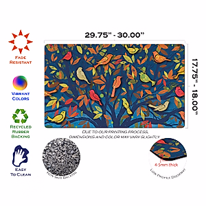 Toland Home Garden 800435 Colorful Birds Bird Door Mat 18x30 Inch Fall Outdoor Doormat for Entryway Indoor Entrance