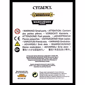 Games Workshop Warhammer AoS & 40k - Daemons of Slaanesh Fiends