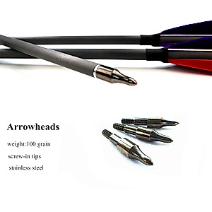 ZHANYI Target Hunting 6 Pack Archery Carbon Arrows 30 Inch 600 Spine with Real Feather Fletching for Compound Recurve Bows