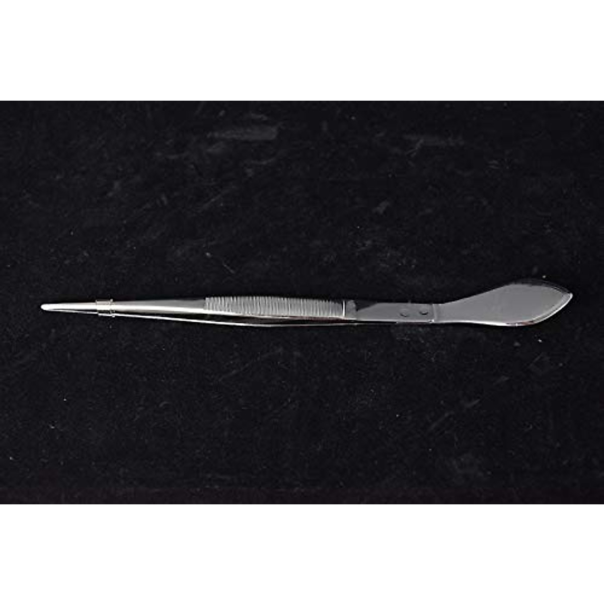 Japanese Stainless Bonsai Straight Tweezers w/Spatula - 2 in 1 Gardening Tool