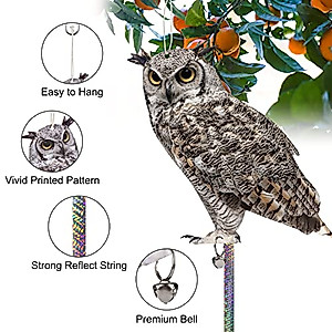kungfu Mall Fake Owl Decoy to Scare Birds, 3 Pack Fake Owl Hanging Effective Bird Control Device to Keep Birds Pigeon Woodpecker Away from Outdoor Garden Yard