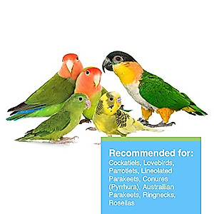Hagen Tropimix Enrichment Food for Cockatiels & Lovebirds, 2 lb. - HARI Parrot Food with Seeds, Fruit, Nuts, Vegetables, Grains, and Legumes