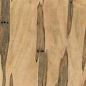 Ambrosia Maple Wood Slab Coffee Table or Bench