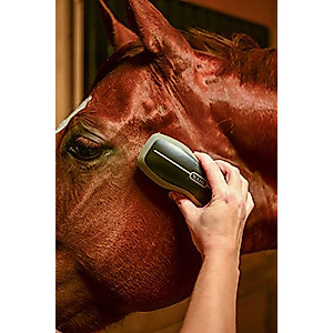 WAHL Professional Animal Equine Grooming Face Horse Brush, Black (858707)