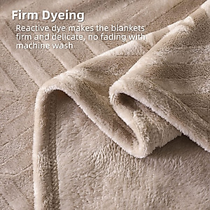 Whale Flotilla Flannel Fleece Queen Size Bed Blanket, Lightweight Breathable Soft Bedspread Plush Fluffy Coverlet Chevron Design Decorative Blanket for All Season, 90x90 Inch, Champagne