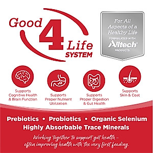 NutriSource Dry Dog Food for Large Breeds, Beef and Rice, 26LB