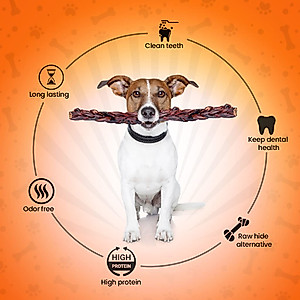 Raw Dog 6" Braided Beef Gullet Sticks (3 Pack) – 100% All Natural Dog Treats & Dental Chews, Non-GMO Grass Fed Beef, Chemical Free Low Odor