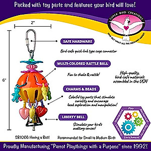 Super Bird Creations SB1086 Having a Ball Bird Toy, Small/Medium Bird Size, 6" x 2" x 2"