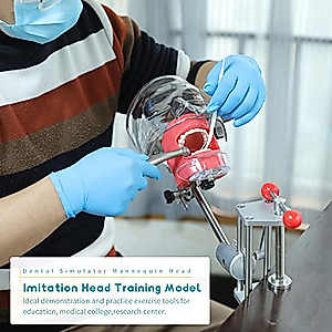 LVCHEN Manikin Simulator Head Lab Training Phantom Head with Typodont Teeth Model Fixed on Desk 1:1 High Emulation 360-Degree Adjustable for Dental Schools Education Practical Demonstration