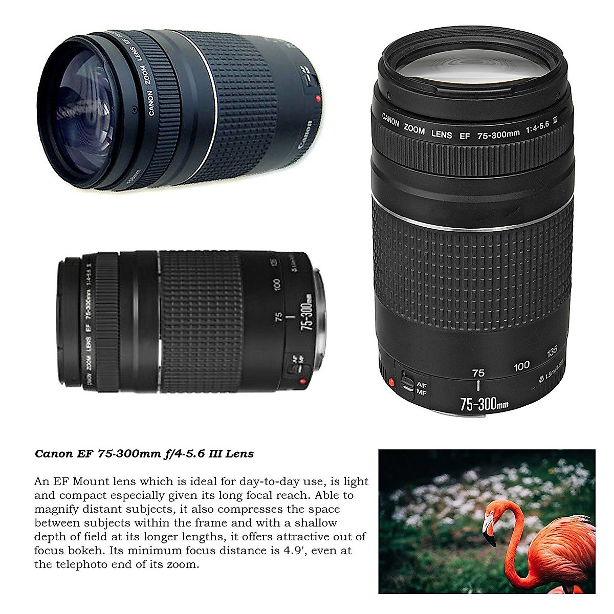 Canon EOS 5D Mark IV DSLR Camera w/ 24-105mm USM Lens Bundle + Canon EF 75-300mm III Lens, Canon 50mm f/1.8, 500mm Lens & 650-1300mm Lens + Backpack + 64GB Memory + Monopod + Professional Bundle