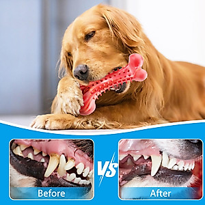 HHAINOVI Dog Chew Toys for Aggressive Chewers,Super Chewer Dog Toys for Medium Small Dogs,3 Pack Super Chewer Dog Toys with Tough, Heavy Duty Dog Teething Toys with Tough Nylon