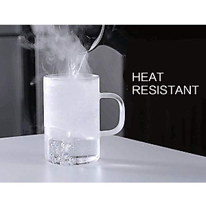 SAMADOYO High Grade Glass Tea Cup Home or Office Teacup W/t 304# Stainless Steel Infuser & Lid Borosilicate Glass SAMA S049A S050A (S050A-500ML)