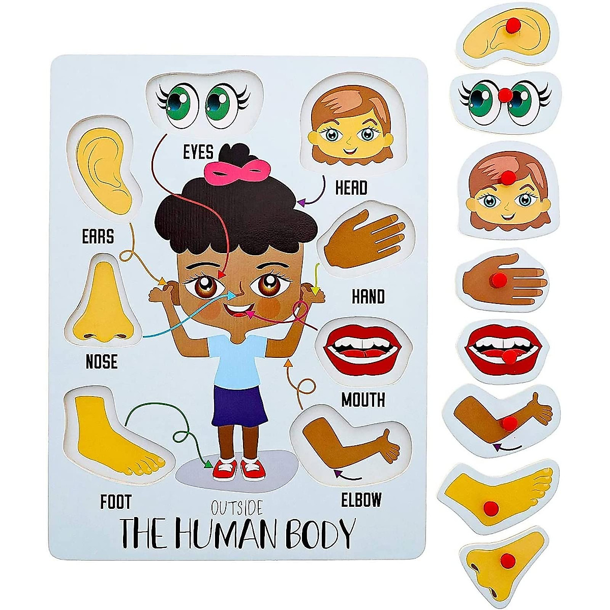 Blue Panda 2 Pack Educational Wood Peg Anatomy Puzzle Toys for Kids Game, Human Body Parts