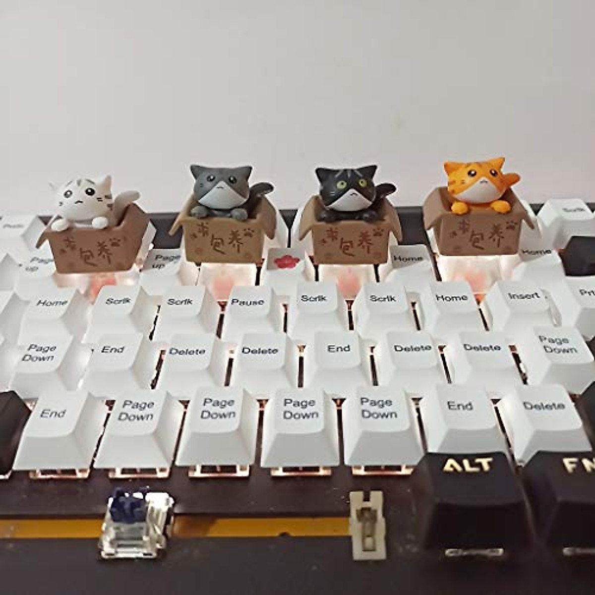 Mirai Past Cat Keycap Esc keycaps DIY Personality Custom Cartoon Anime Keycap Replacement Bottom Backlit Keycaps Gift for Mechanical Keyboard KeyCap OEM R4 Height (Transparent) (Grey), 3.5x3.5x2cm