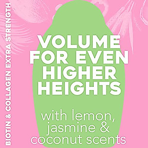 OGX Thick & Full + Biotin & Collagen Extra Strength Volumizing Shampoo & Conditioner with Vitamin B7 & Hydrolyzed Wheat Protein for Fine Hair. Sulfate-Free Surfactants for Fuller Hair, 13 Fl Oz