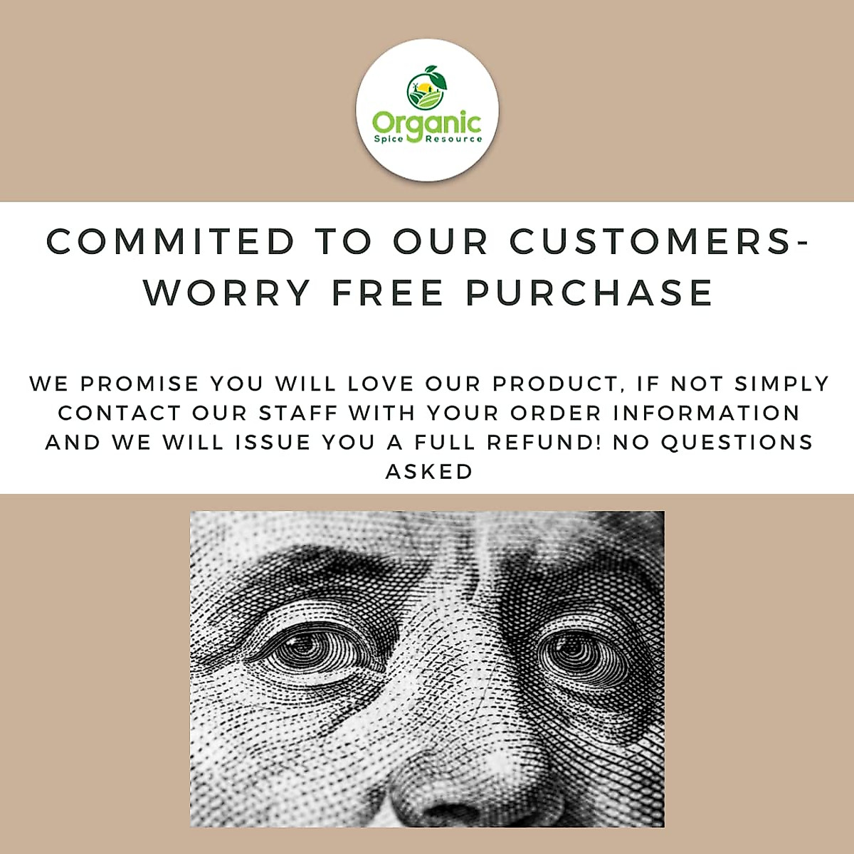 Organic Spice Resource Turmeric Root Powder, 8 oz (226 g)