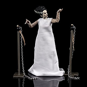 Jada Toys Universal Monsters 6" Bride of Frankenstein Action Figure, Toys for Kids and Adults, Black