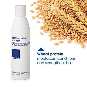 LATHER Bamboo Crème Shampoo - Lightweight & Non-Greasy Hair Wash Formula - Nourishing & Hydrating Shampoo for Dry or Damaged Hair - Sulfate Free - 8 Fl Oz Bottle